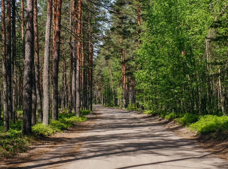 Cottage village for sale - Realting