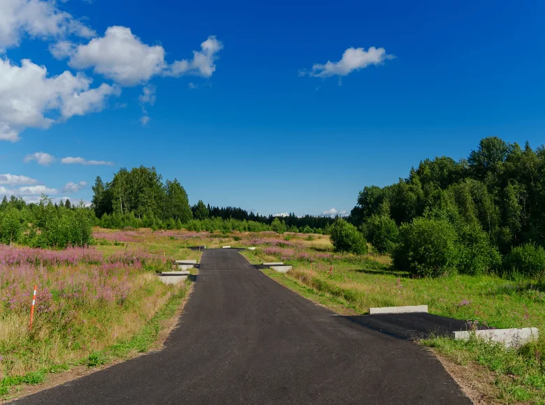 Cottage village Lintulovo for sale - Realting