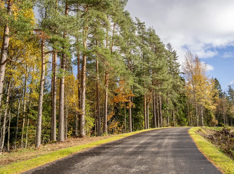 Cottage village Lintulovo for sale - Realting