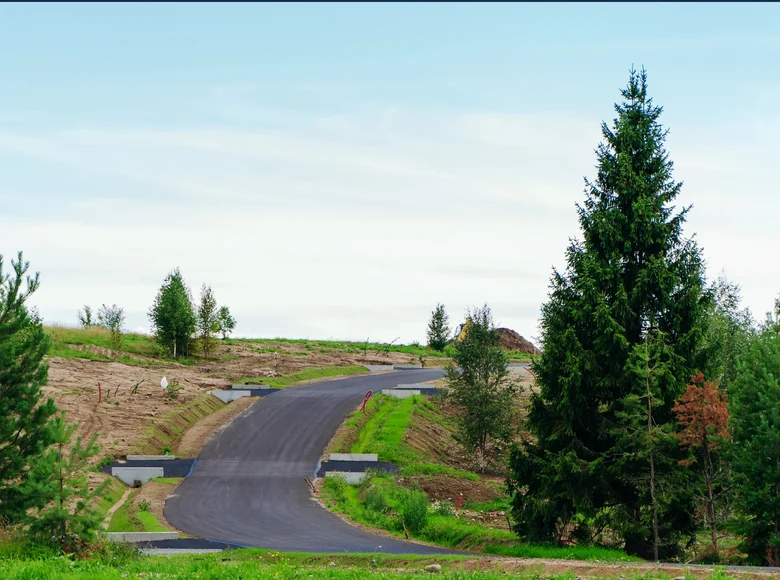 Cottage village Lintulovo for sale - Realting